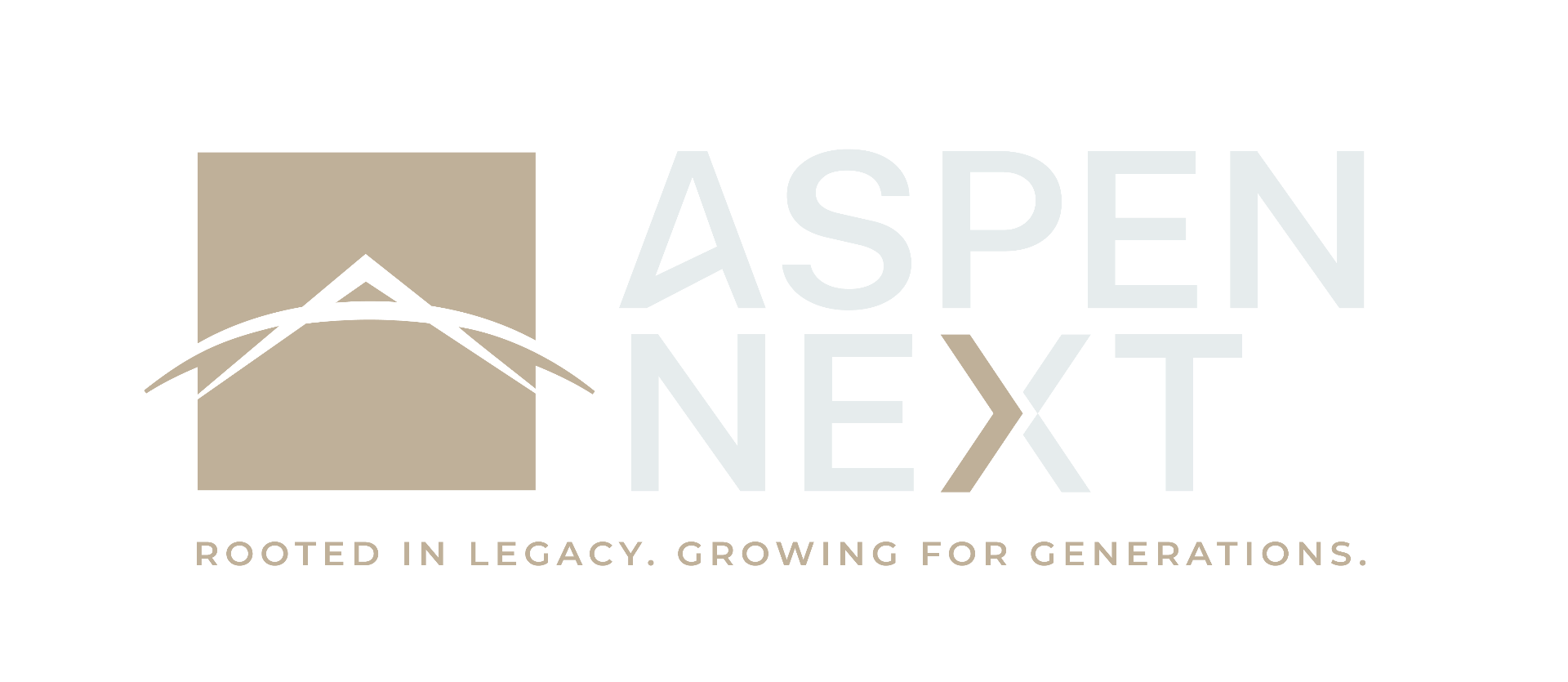 Aspen Next